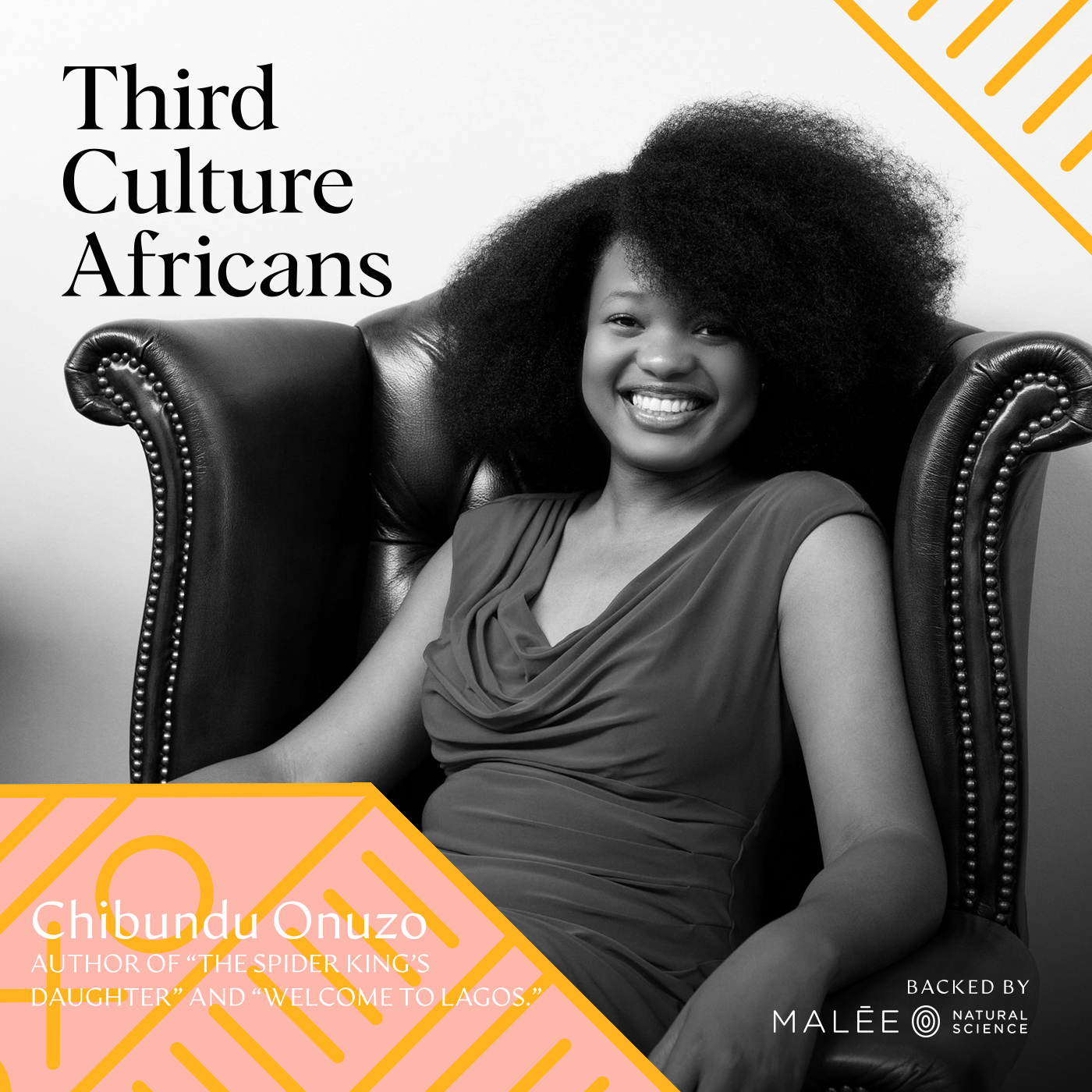 Chibundu Onuzo, Expanding the Perspective on Africa